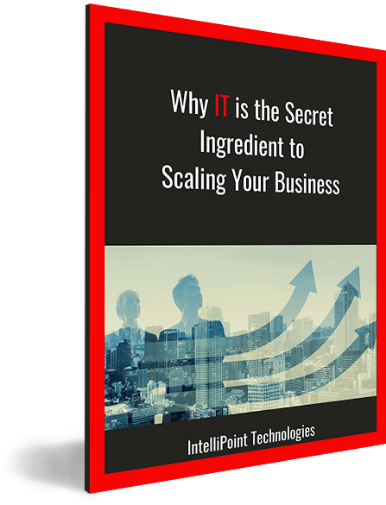 Managed IT Services- IT and ERP Support| IntelliPoint Technologies